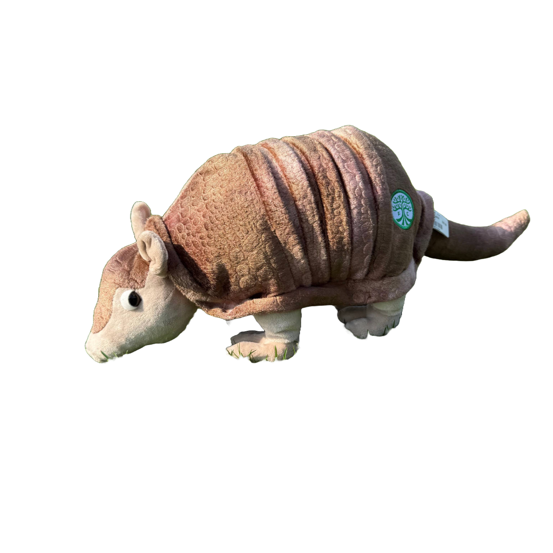AUSTIN FC ARMADILLO PLUSH LARGE – The Verde Van